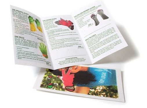 5 Things to Consider for Effective Brochure Design | Brighton Forms